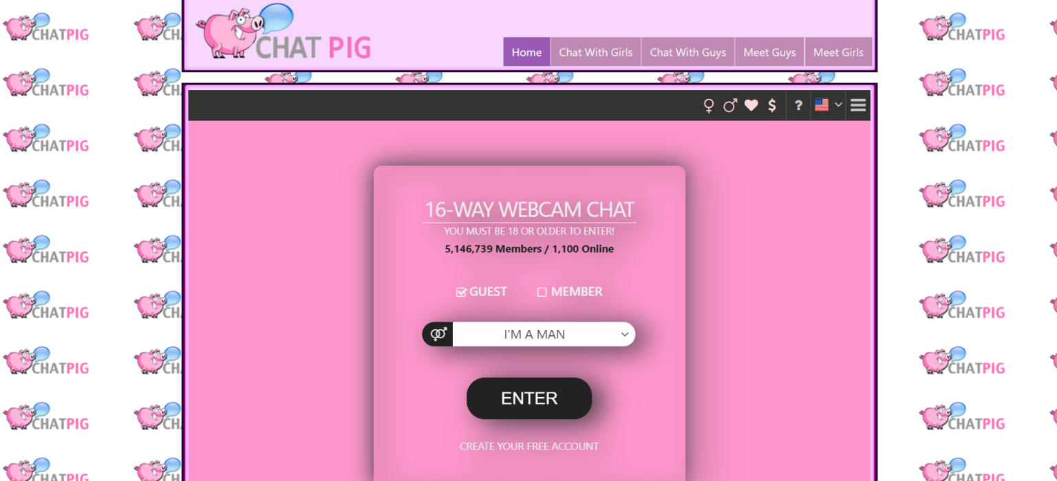Chatpig Alternative: Better Sites to Try | Sneaky Chats